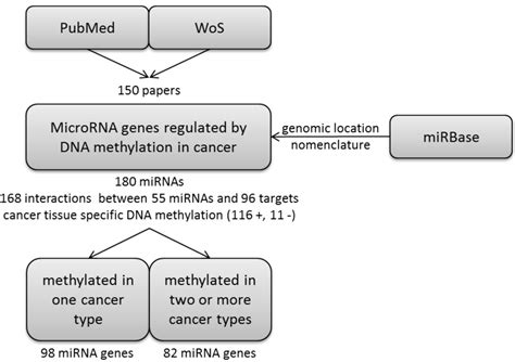 Ncrna June 2015 Browse Articles