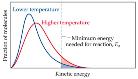 3 1 5 3 Effect Of Temperature On Reaction Rate Flashcards Quizlet