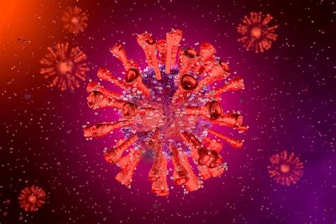 67532 Correct Red Royalty Free Photos And Stock Images Shutterstock