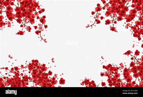 Frame Of Red Cherry Blossom Background Pattern Spring Time Red Sakura Blossom Stock Vector