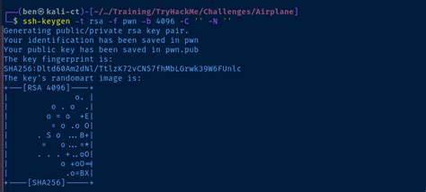 Tryhackme Airplane
