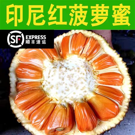 順豐包郵印尼紅紅肉菠蘿蜜紅心新鮮應季進口水果 印尼紅菠蘿蜜 Taobao