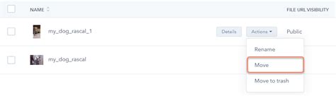 Move A File Between Folders In The File Manager