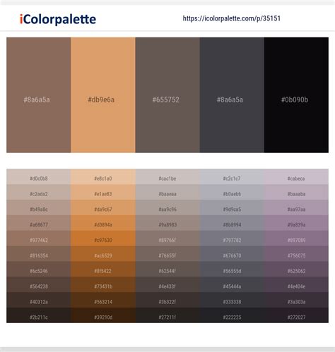 3 Latest Color Schemes With Ship Gray And Cod Gray Color Tone Combinations 2024 Icolorpalette