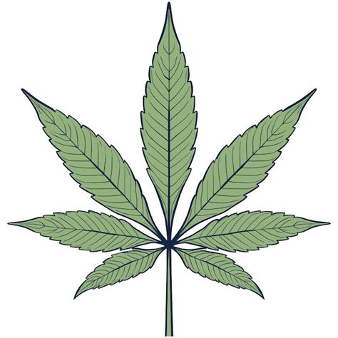 Simplistic Green Cannabis Leaf Illustration Premium Ai Generated Vector