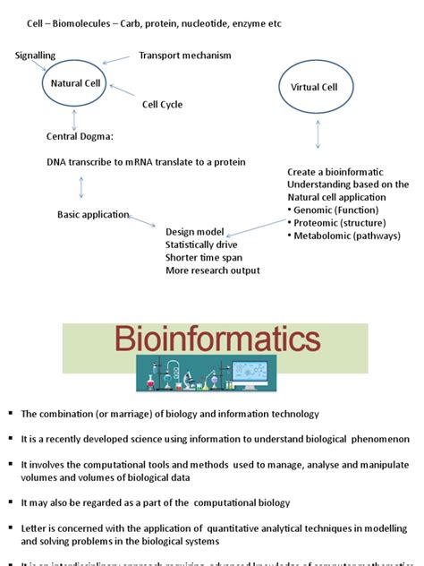 Bioinformatics Pdf Bioinformatics Proteins