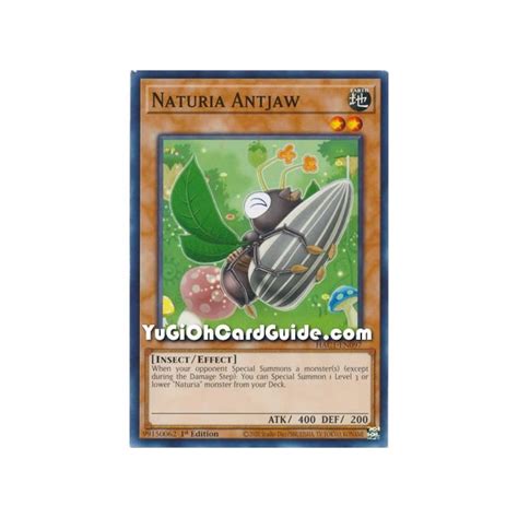 Naturia Antjaw Common