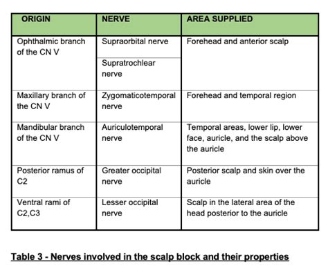 Scalp Block Technique And Applications Virtual Library
