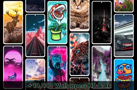 El Top 47 Fondos Para Celular Abzlocal Mx