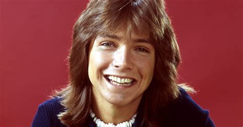 David Cassidy 1970s Teen Idol Has Died At 67