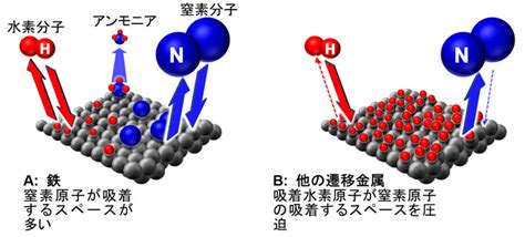 鉄はレアメタルより強し 100 の低温でアンモニアを合成する鉄触媒の開発に成功 東工大ニュース 東京工業大学