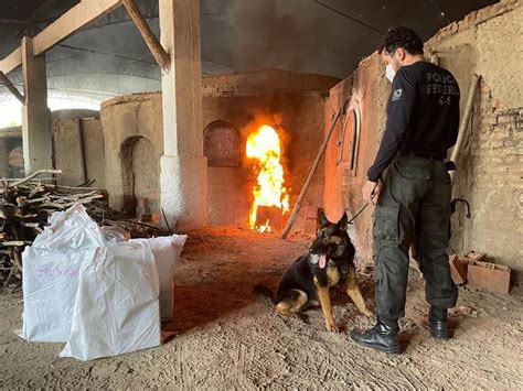 Polícia Federal realiza incineração de mais de 1 3 tonelada de drogas