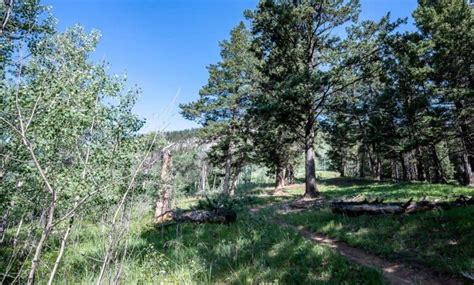 Cory Pass Hike Banff National Park Hike Bike Travel
