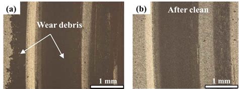 Unexpected Friction Behaviours Due To Capillary And Adhesion Effects Scientific Reports