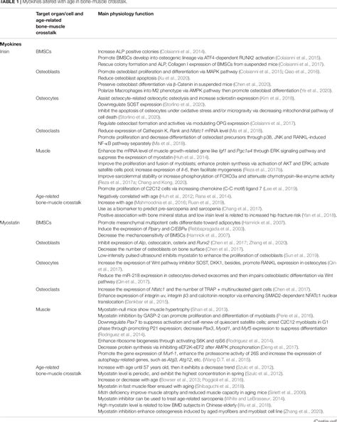 Table 1 From Bone And Muscle Crosstalk In Aging Semantic Scholar