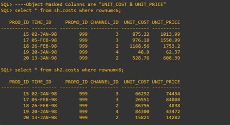 tapas karmakar database consultant oracle data masking configuration