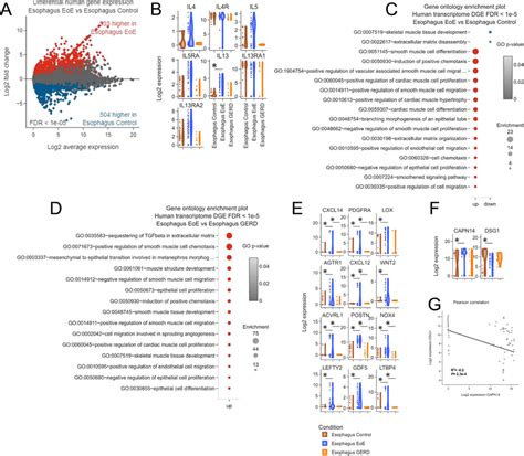 Eoe Tamma Confirms Eoe Specific Traits A Ma Plots Showing The Download Scientific Diagram