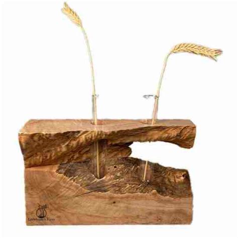 Live Edge Propagation Station Littlebranch Farm