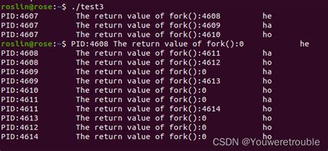 操作系统实验——熟悉linux系统、fork操作 忆云竹