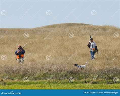 Chasse De Faisan Photo Stock Image Du Retriever Sports 28425544