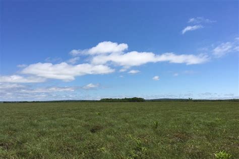 鶴居の風景丹頂と釧路湿原の鶴居村を楽しむ会