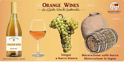 I Vini Orange Wines Guida Quattrocalici