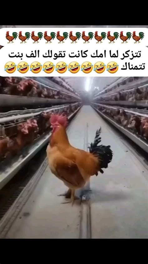 Pin Di لانا العسوله Su مرات الحفظ السريع