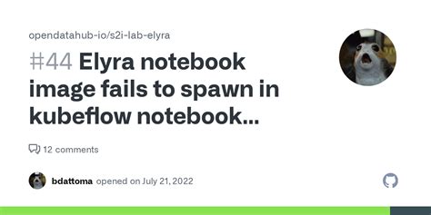 Elyra Notebook Image Fails To Spawn In Kubeflow Notebook Controller