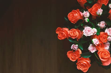 꽃의 꽃다발장미의 구성 엽서의 배경입니다 이미지 텍스트에 대 한 공간입니다 0명에 대한 스톡 사진 및 기타 이미지 0명 8