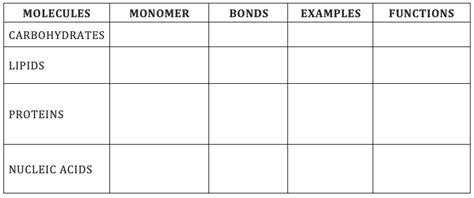 Macromolecule Chart Diagram Quizlet