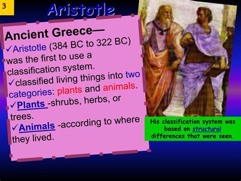 Aristotle System Of Classification At Victoria Thomason Blog