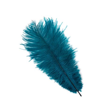 Bulk Ostrich Feathers Zucker Feather Products Inc