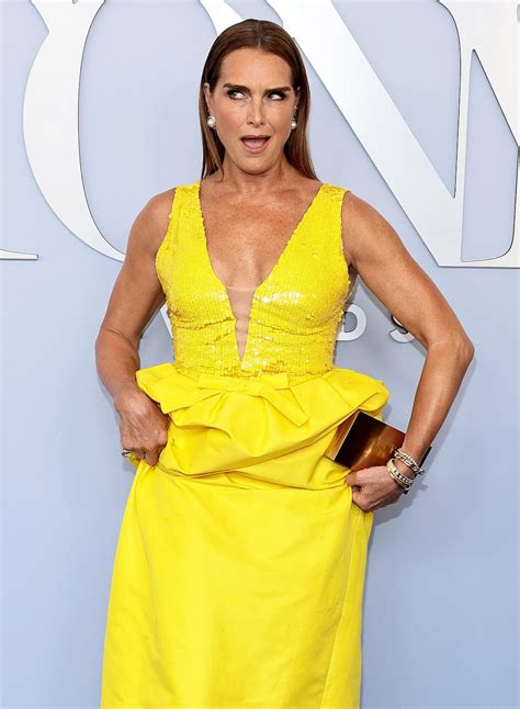 Brooke Shields Zum Sex Braucht Sie Tequila Cremes Und Spezialkissen