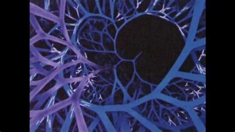 1960s Nervous System Inside Human Body Animation Of Signals Traveling