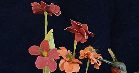 John Eichelberger Handcarved Hummingbird Schreiber24 Bid