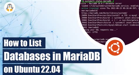 How To List A Databases In Mariadb On Ubuntu Linux Genie