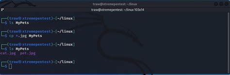 Linux Fundamentals Everything You Need To Know About Copying Files🧵🐧