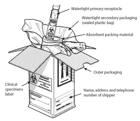 Packing And Sending Hev Samples For Testing Pirsa