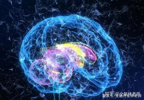 8岁女童可蒙眼识字很神奇来看看全脑开发中HSP高感怎么说 知乎