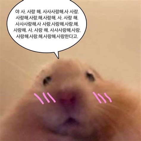 2에 있는 Gukkieww Mw님의 핀 재미있는 이모티콘 웃긴 밈 웃긴 인용구