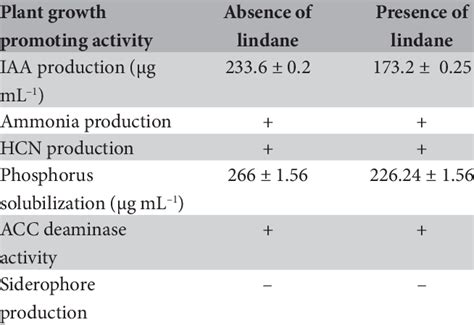 Plant Growth Promoting Activities Of Ochrobactrum Sp Strain A15