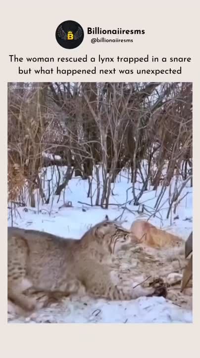 Capt Conrad John Aranjo On Linkedin Thank You