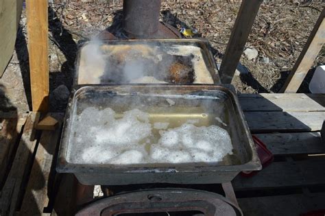 How To Make Maple Syrup The Vanderveen House