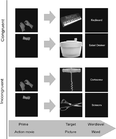Figure 1 From When Action Observation Facilitates Visual Perception