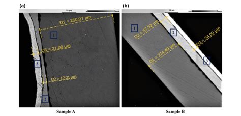 Sem Micrographs Of Cross Sectional Measurement And Eds Analysis Of