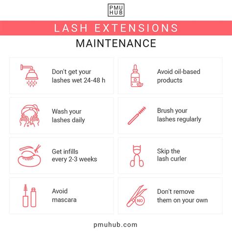 How To Become A Lash Tech A Step By Step Guide