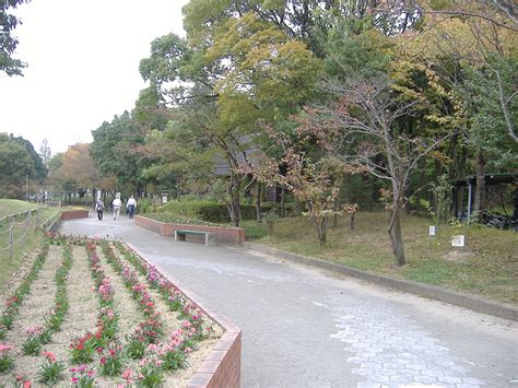 『滋賀県守山市・ほたるの森資料館主催の環境学習会』守山滋賀県の旅行記・ブログ By Iguchi Yutakaさん【フォートラベル】