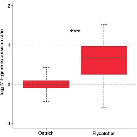 Box Plot Of Log Of The Male To Female M F Expression Ratio In Download Scientific Diagram