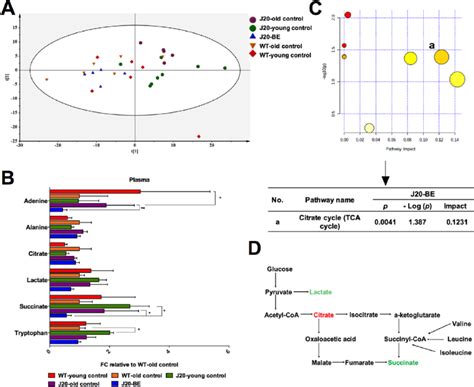 Comparative Metabolome Analysis Of Plasma Samples Of Different Groups