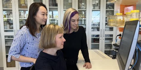 Solve Real World Engineering Problems Through An Industry Phd Create Digital